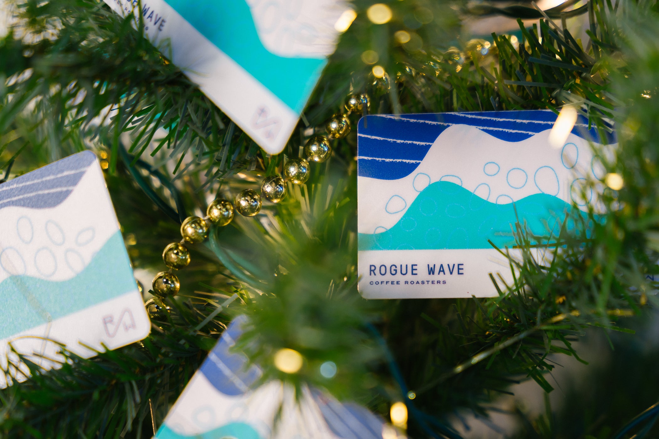 Rogue Wave Coffee Co | Edmonton Coffee Roaster