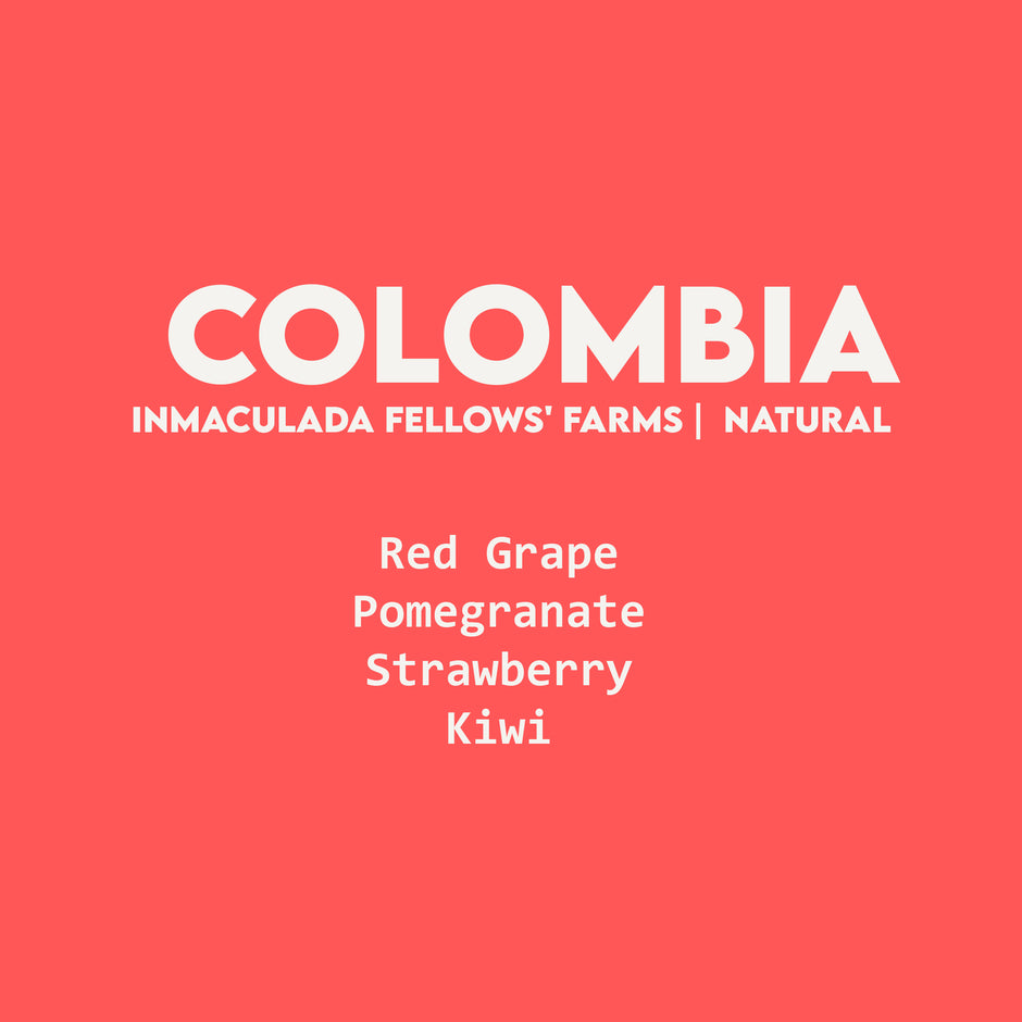 Coffee – Rogue Wave Coffee