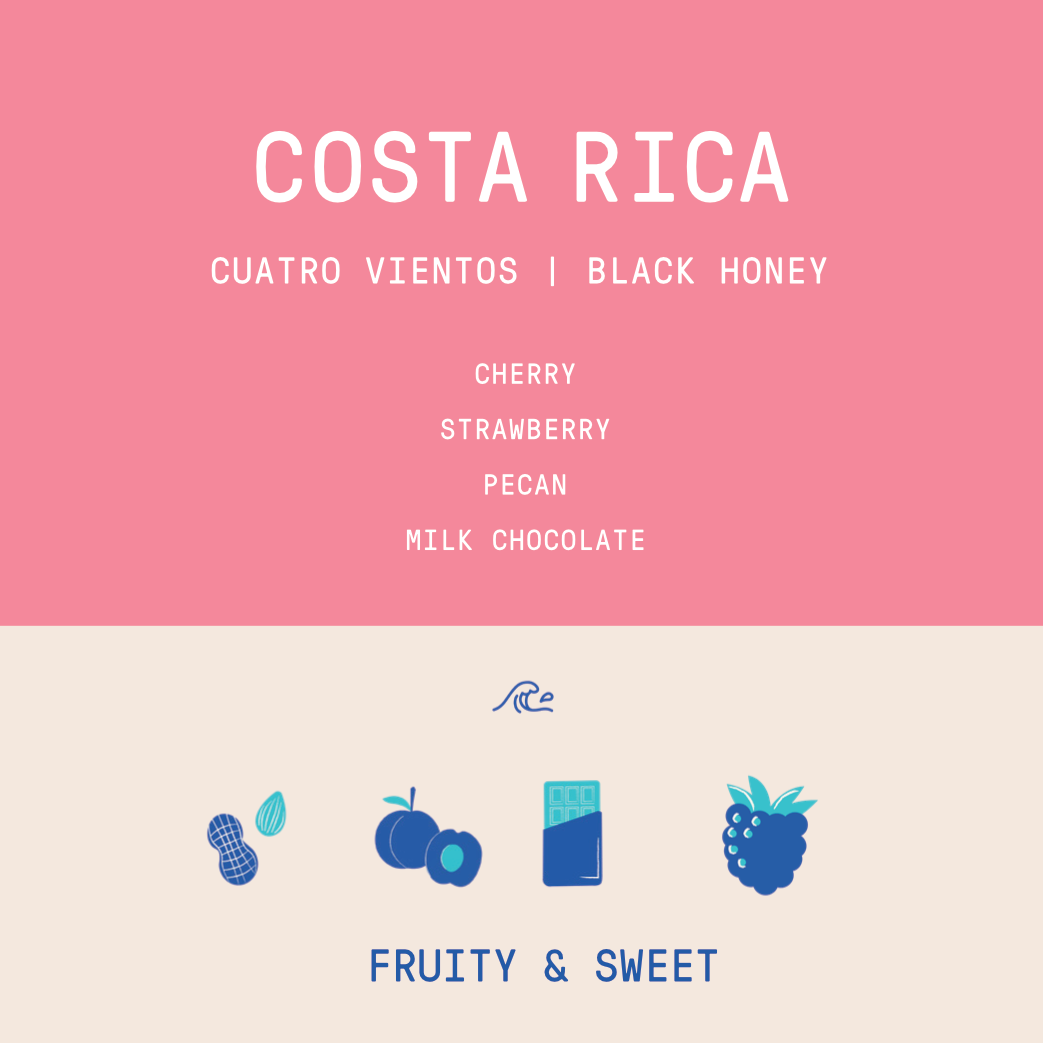 Costa Rica - Ivan Solis - Cuatro Vientos | Black Honey – Rogue Wave Coffee