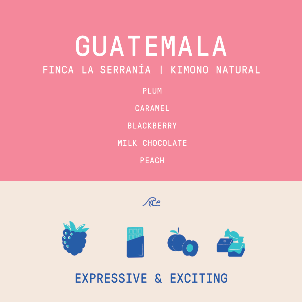 Guatemala - La Serrania Kimono | Natural – Rogue Wave Coffee