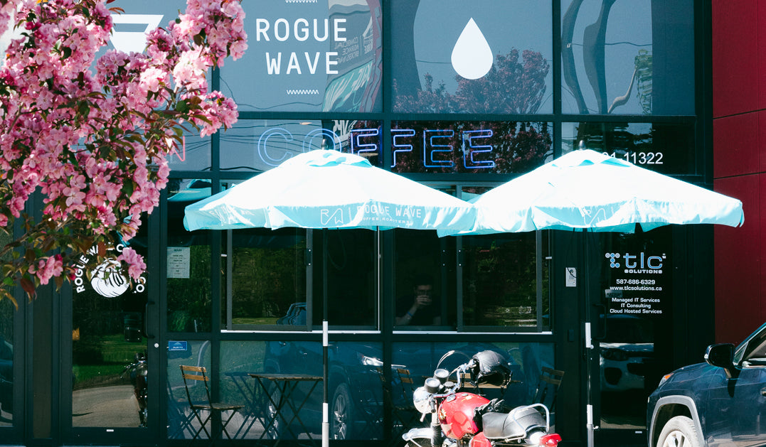 Rogue Wave Coffee Co | Edmonton Coffee Roaster